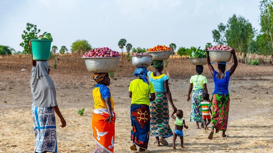 Non-international armed conflict in Togo - WAR WATCH